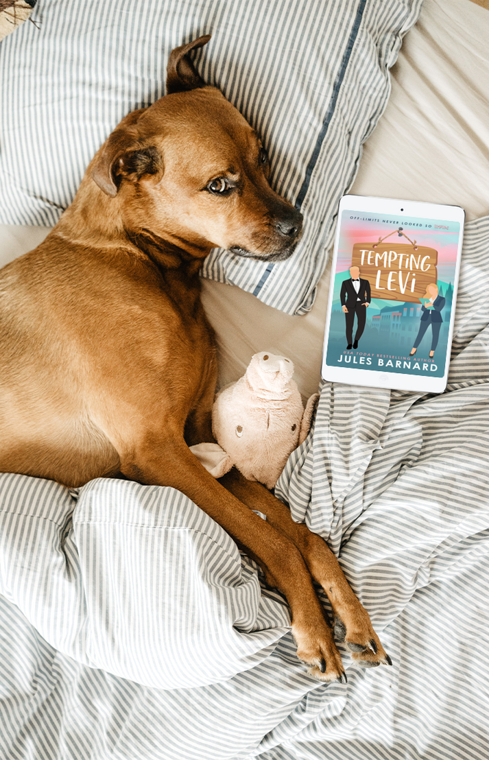 Tempting Levi E-Book – Jules Barnard Books